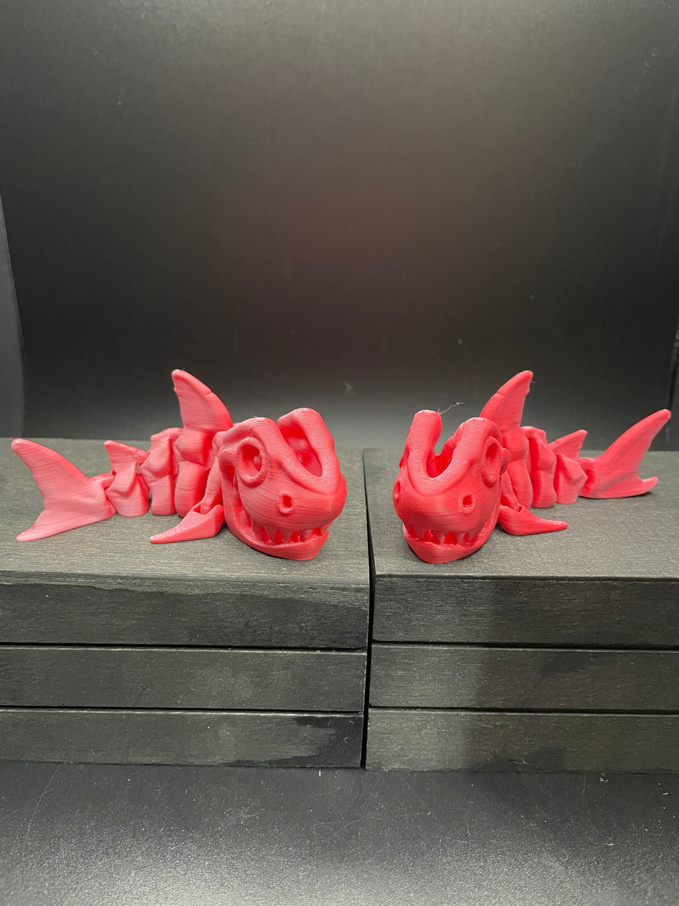 Skeleton Shark : Small – Flexy Plastics